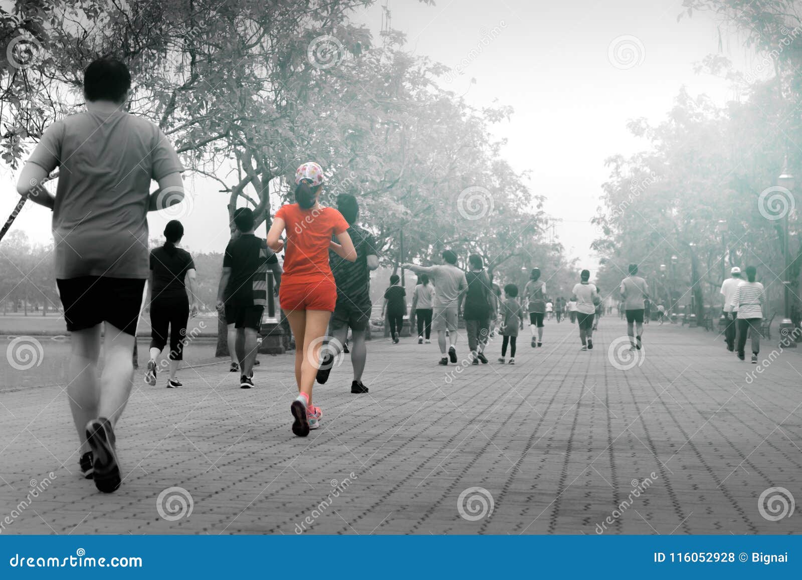 Group of People Exercise Walking in the Park Editorial Stock Photo ...
