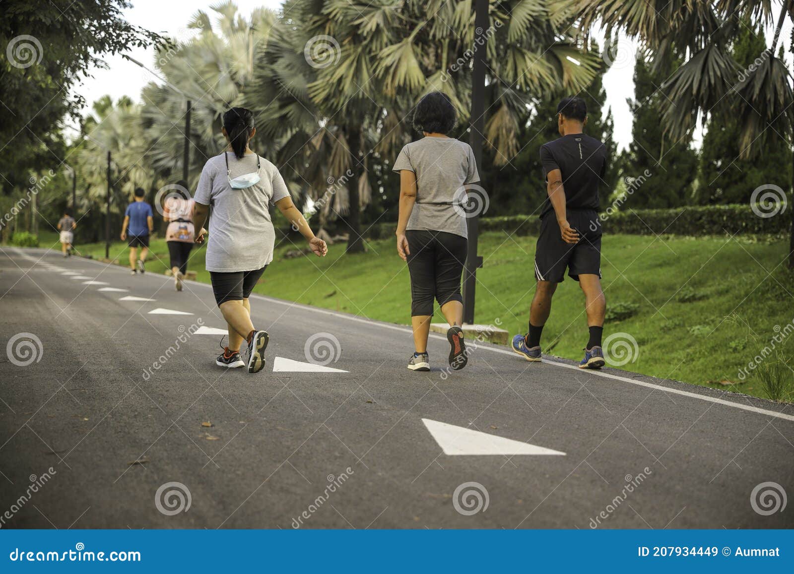 Group of People Exercise Walking in the Park in Morning Editorial Stock ...