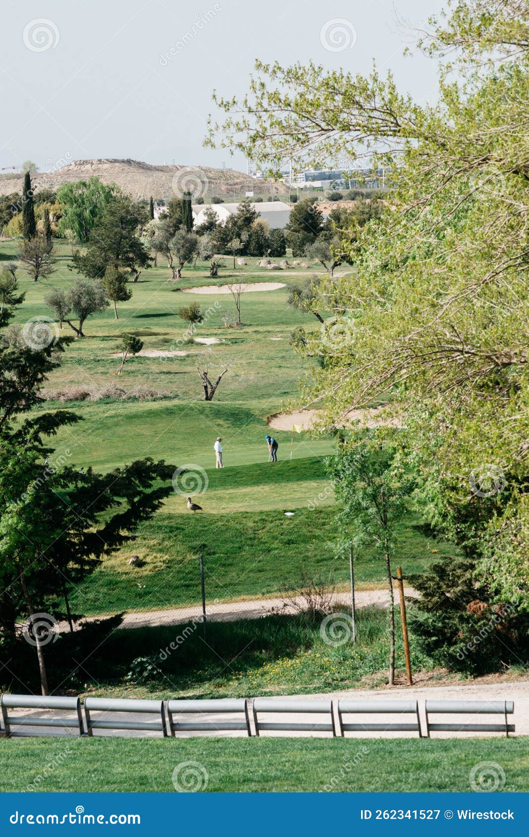 Group of People Having Fun at the Golf Course Stock Image - Image of ...