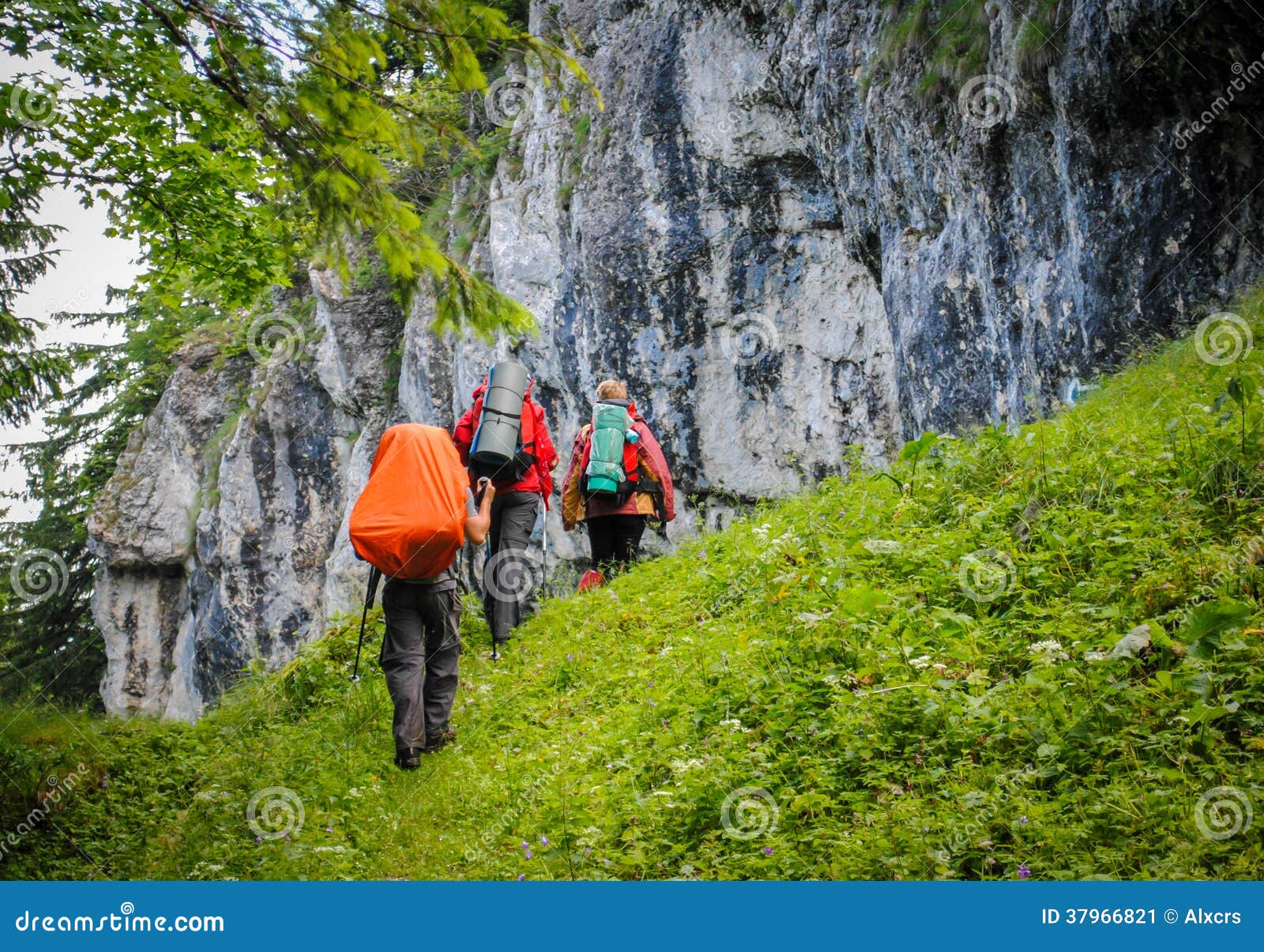 Group of people hiking stock image. Image of activity - 37966821