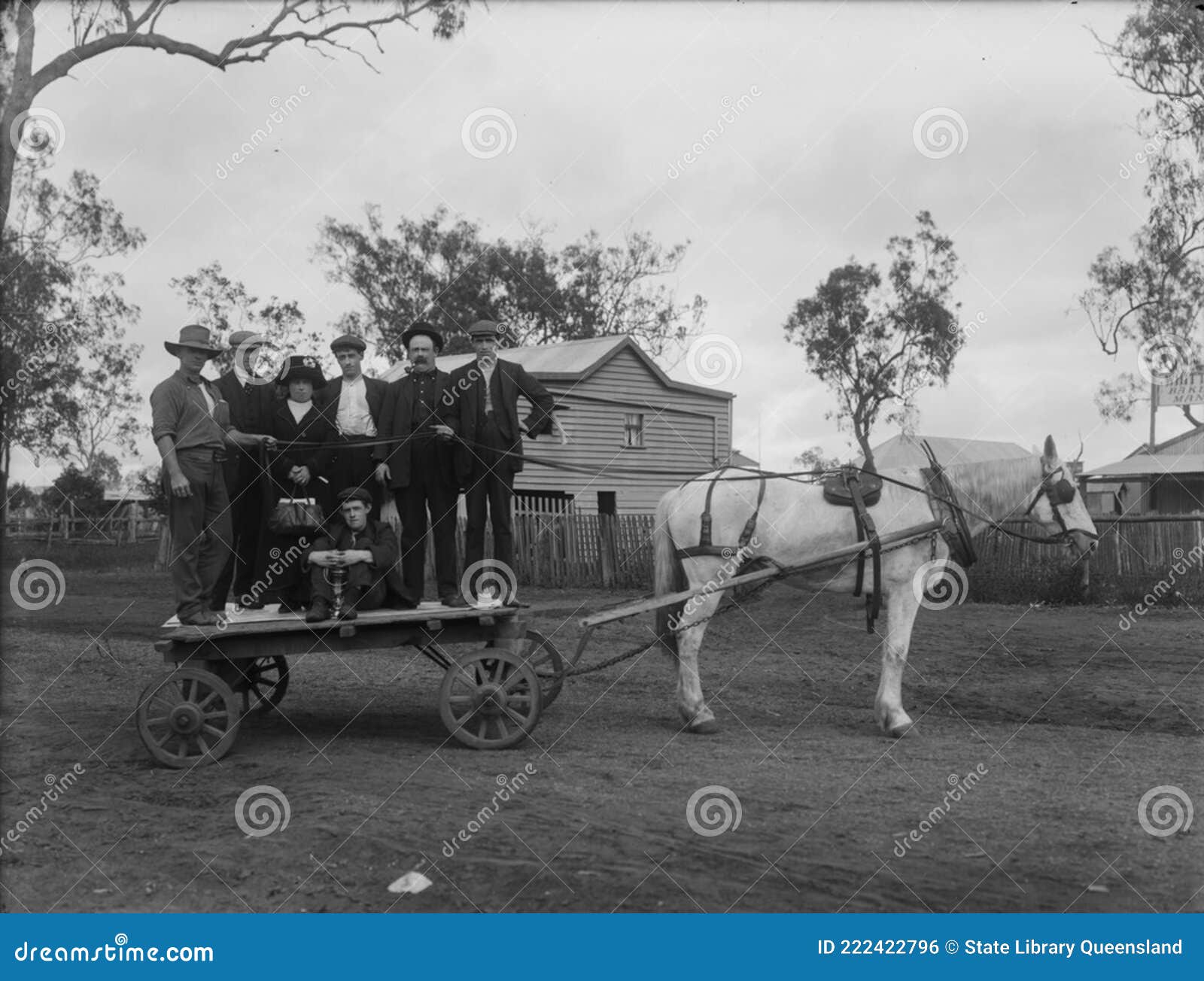 Group Of People On A Horsedrawn Dray, Queensland Picture. Image: 222422796