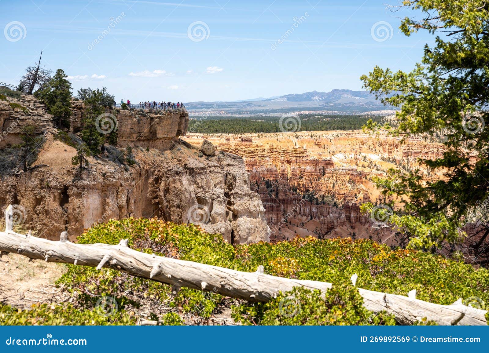 Group of People Look Out Over Bryce Point Stock Image - Image of ...
