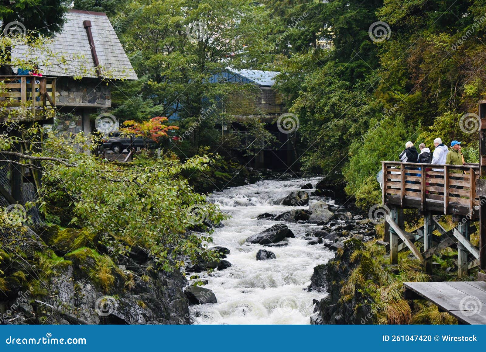 Group of People Looking at the Raging River from the Bridge Stock Photo ...