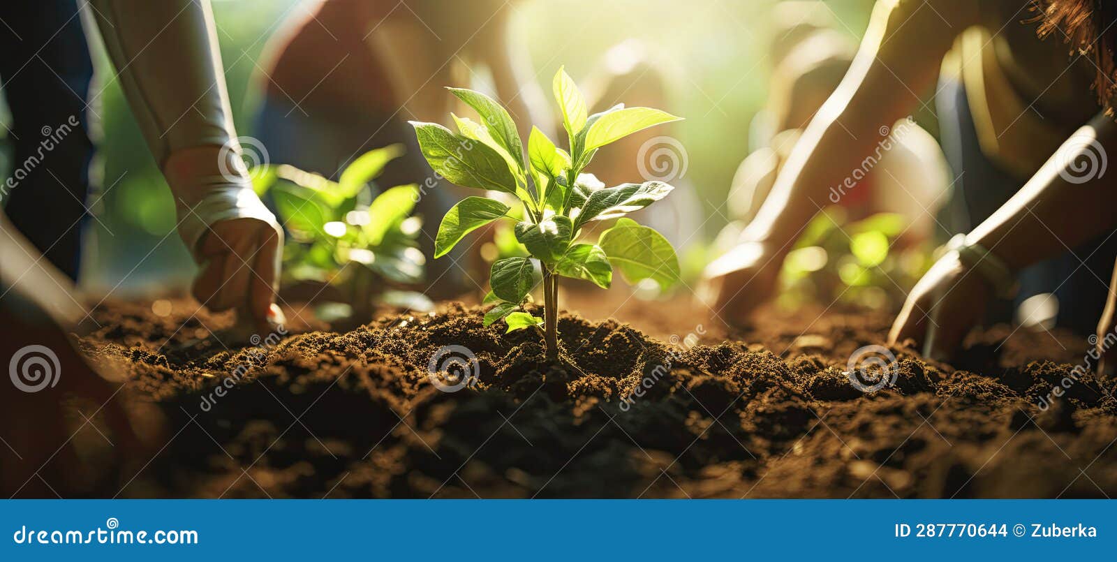 Group of People Planting Plants Stock Illustration - Illustration of ...