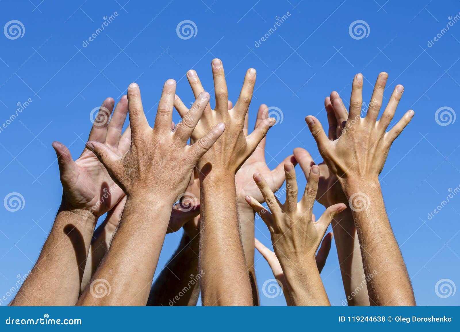 Group of People Pulling Hands in the Air in Sunlight. Many Hands ...