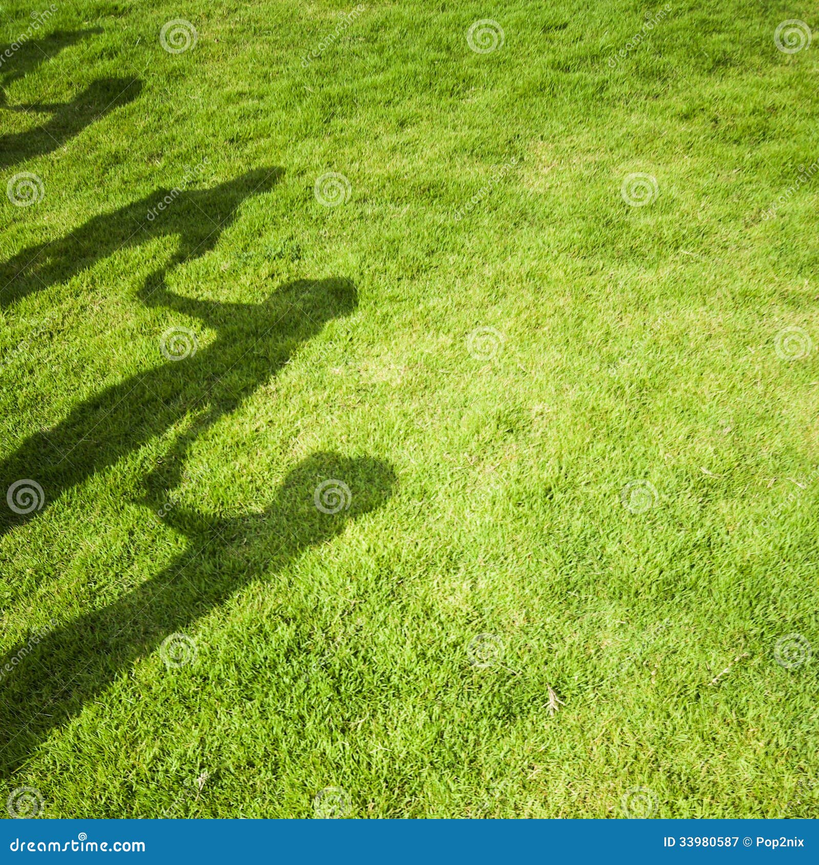 Group People Shadow on Green Grass Stock Image - Image of evening ...
