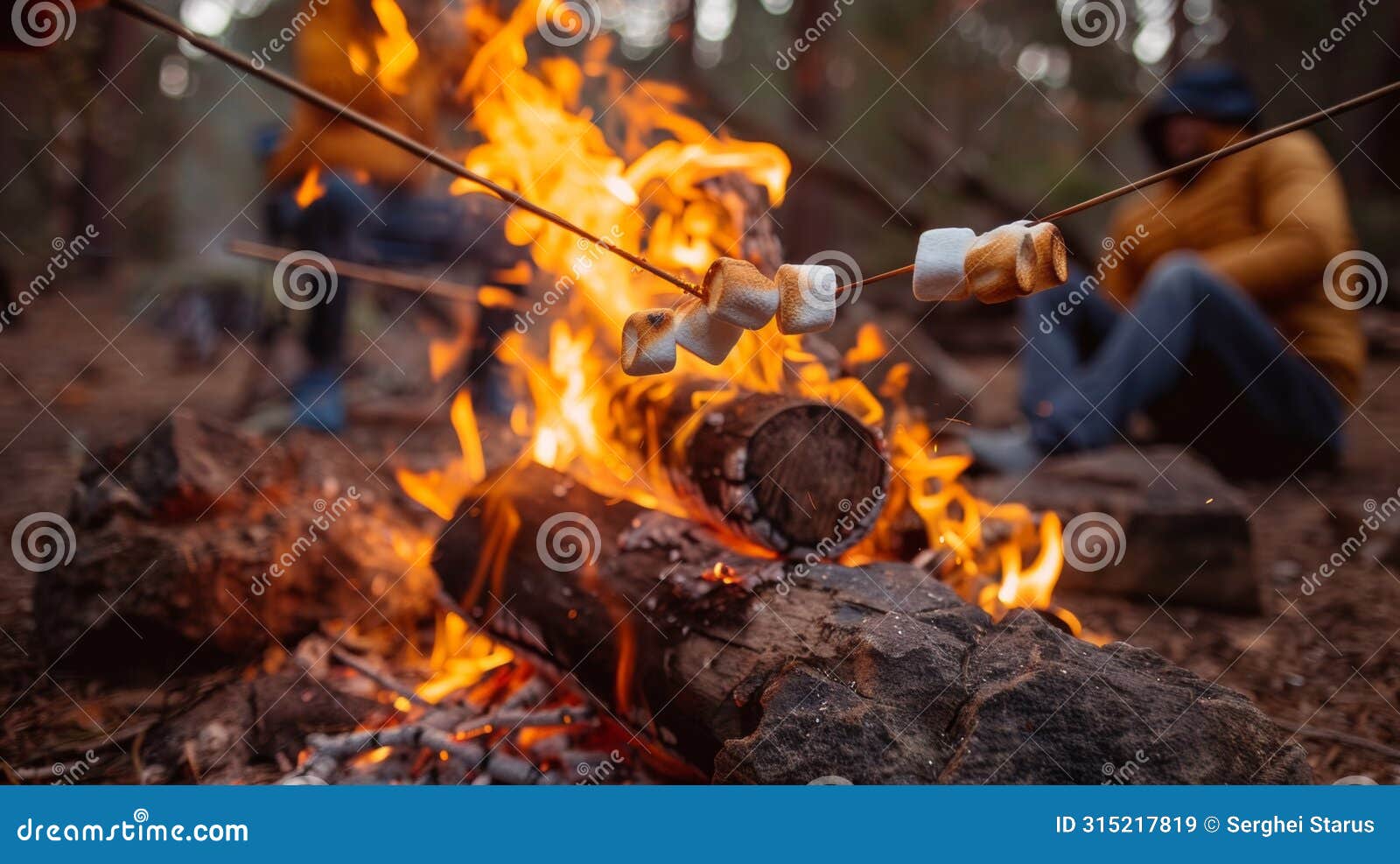 A Group of People Sitting Around a Campfire Roasting Marshmallows, AI ...