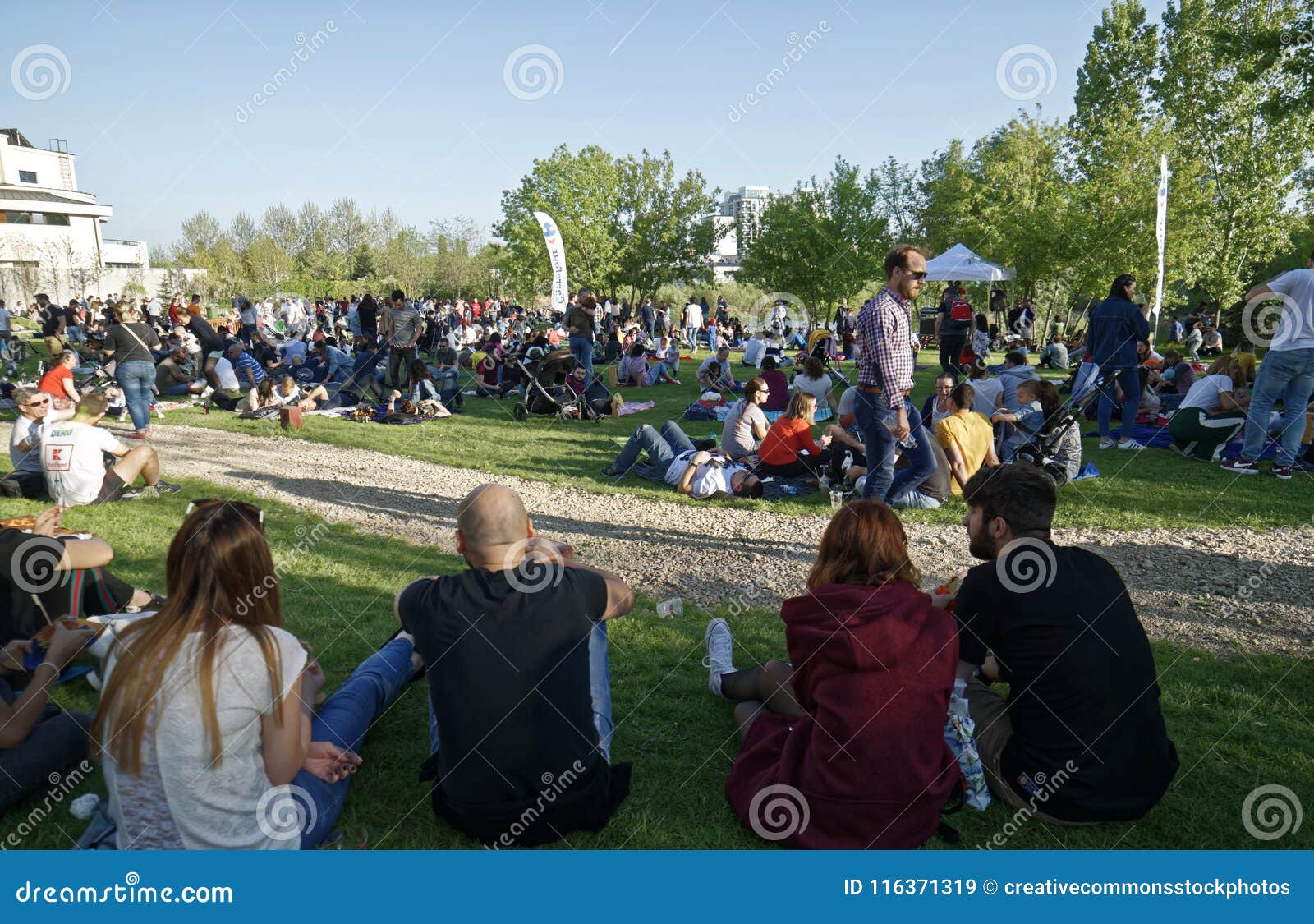 Group Of People Sitting On Grass Field Near Green Trees Picture. Image ...