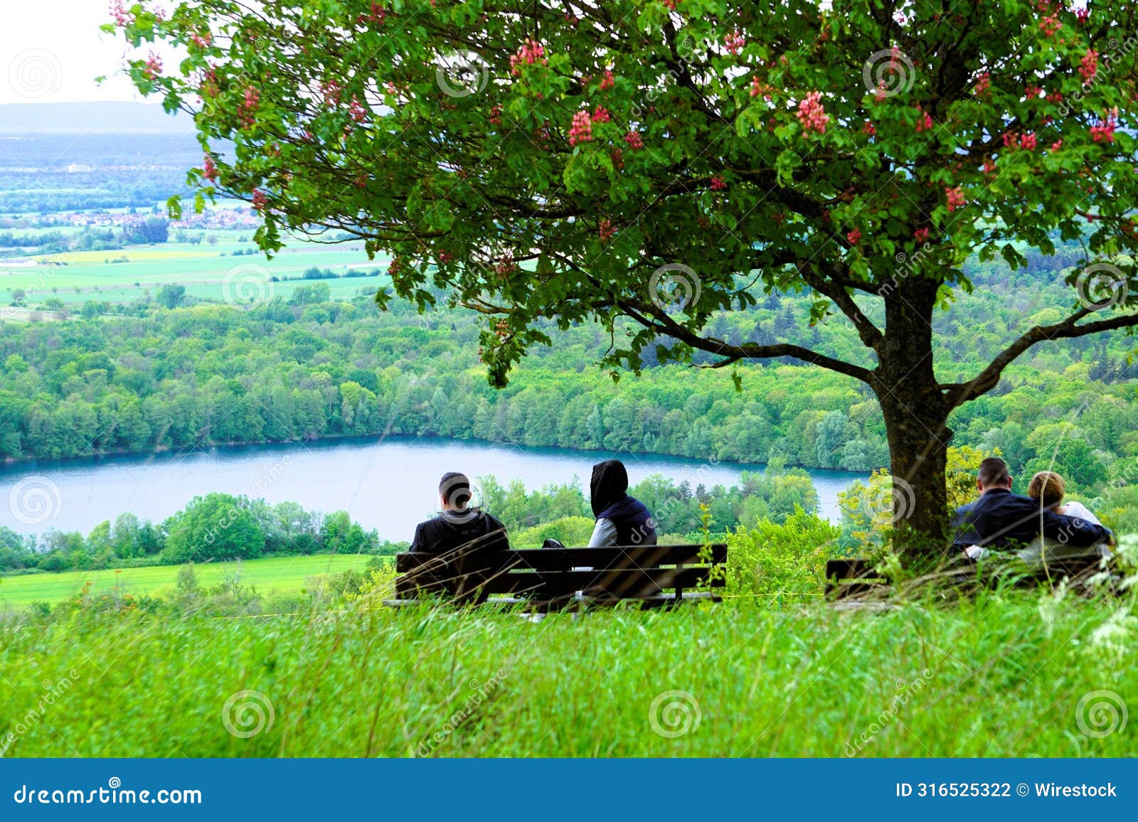 Group of People Sitting on Lakeside Benches Under a Tree. Stock Photo ...