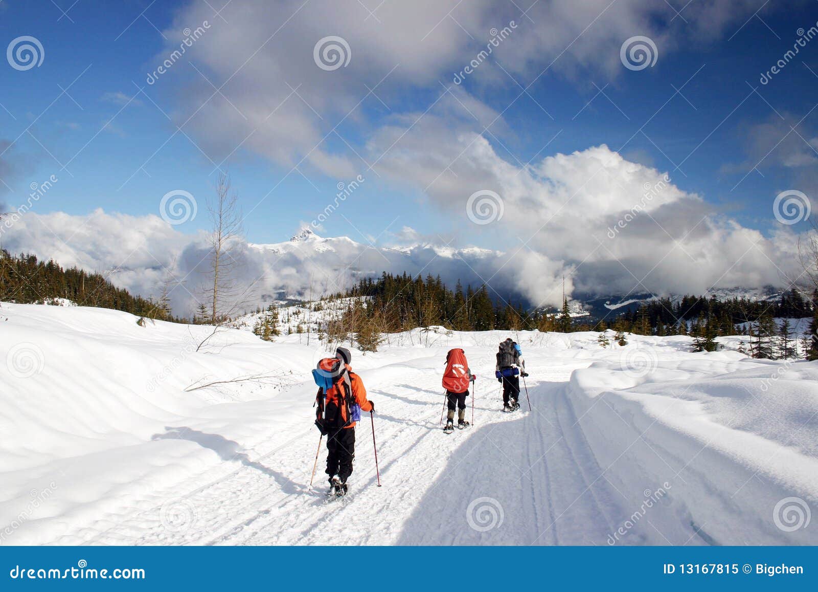 Group people snowshoeing stock image. Image of hikers - 13167815