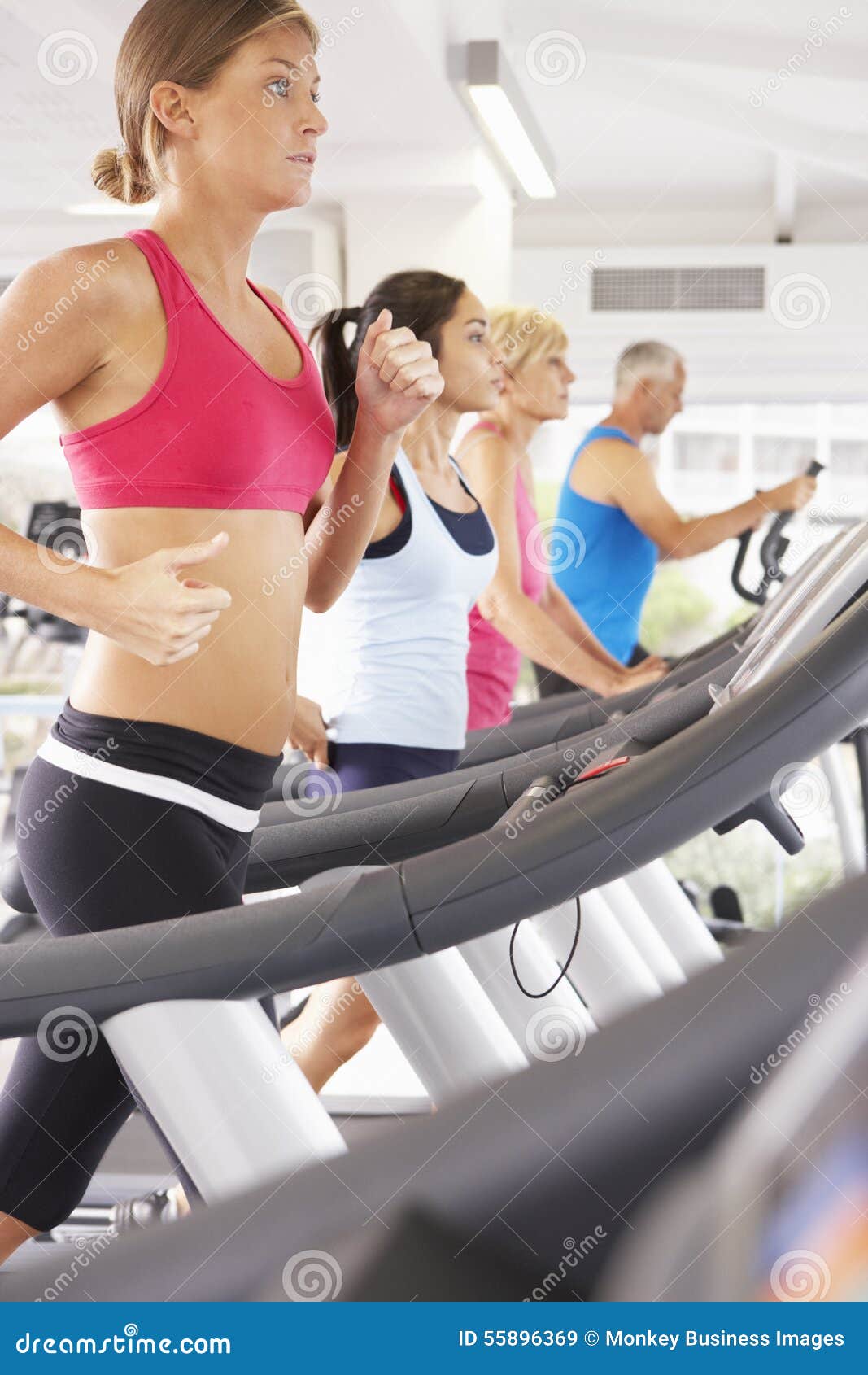 Group of People Using Different Gym Equipment Stock Image - Image of ...