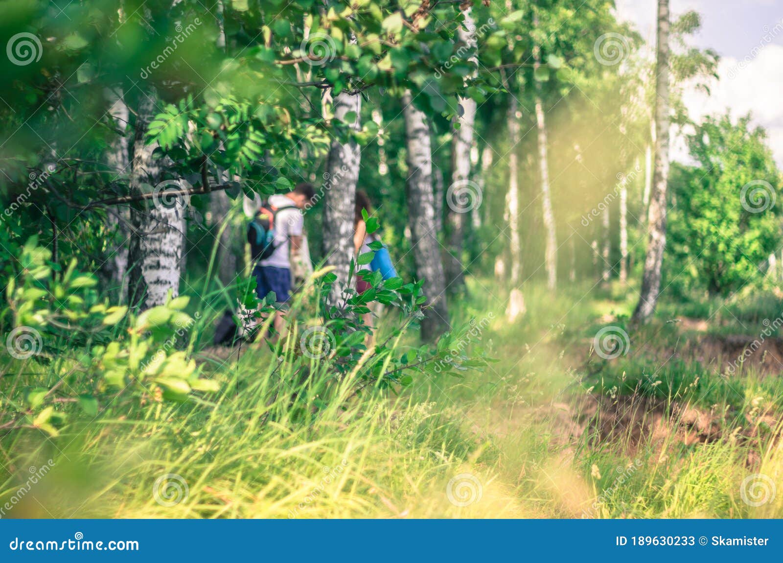 A Group of People is Walking among the Trees. Stock Image - Image of ...