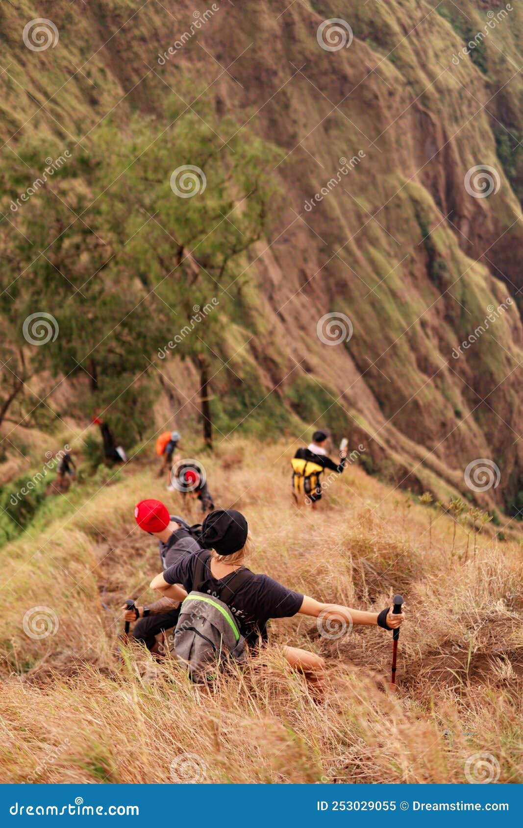 A Group of People Walking on the Trek Editorial Image - Image of strong ...