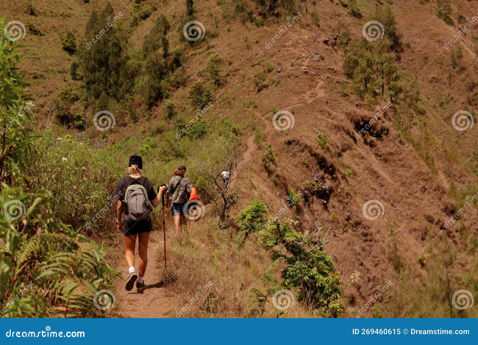 A Group of People Walking on the Trek Stock Image - Image of sport ...