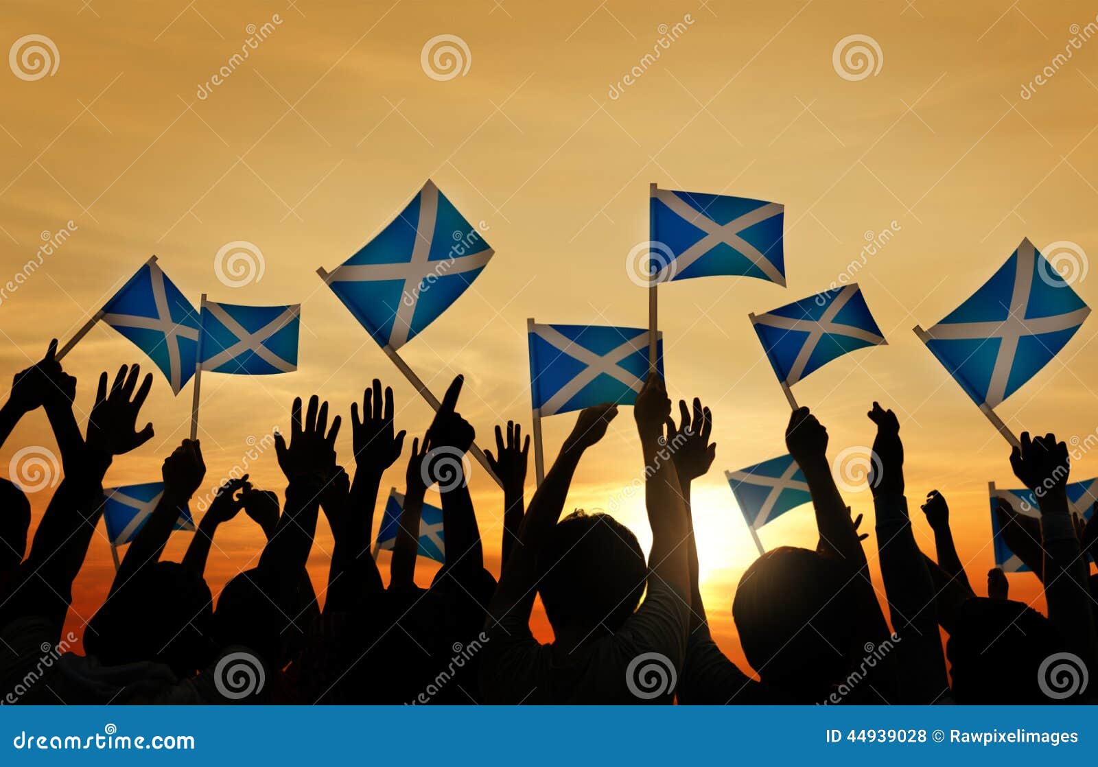 Group of People Waving Scottish Flags Stock Photo - Image of patriotism ...