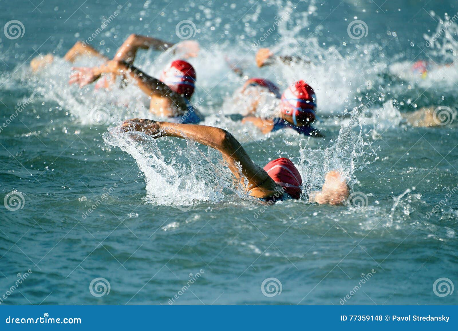 Group People in Wetsuit Swimming Stock Photo - Image of male, speed ...