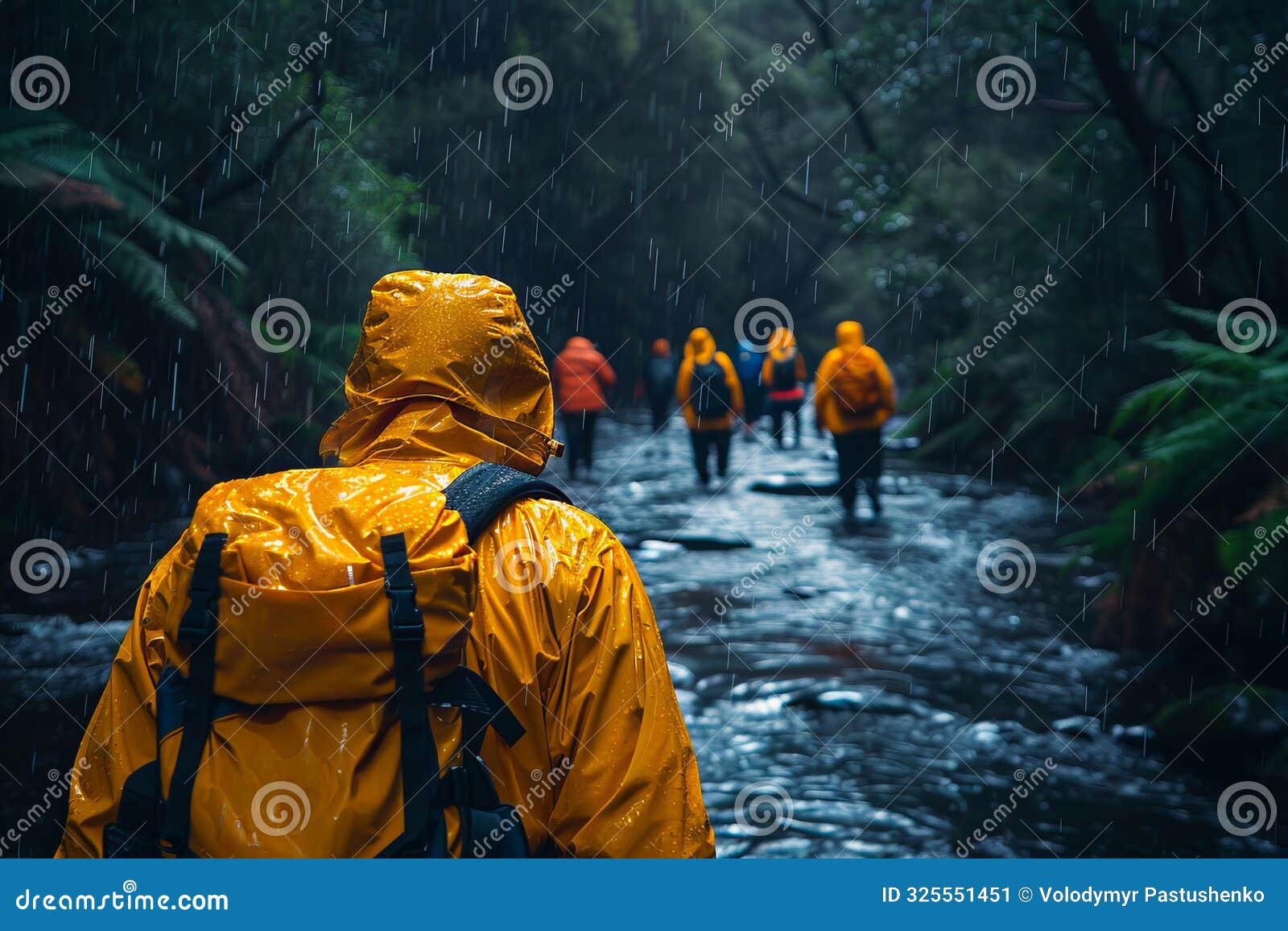 A Group of People in Yellow Rain Jackets Walking through a Stream Stock ...