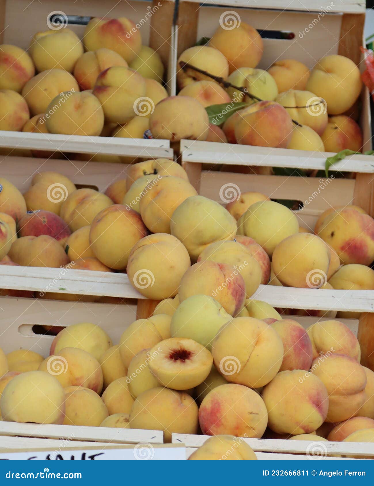 Group of percoche peaches stock image. Image of healthy - 232666811