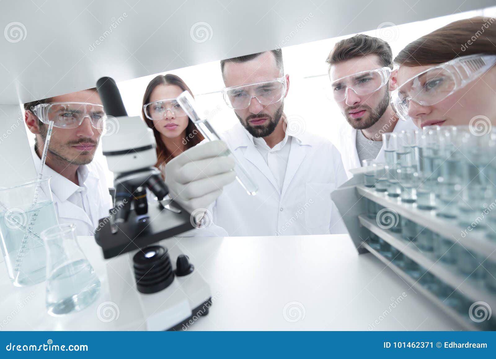 Group of Pharmacists Working in the Laboratory. Stock Image - Image of ...