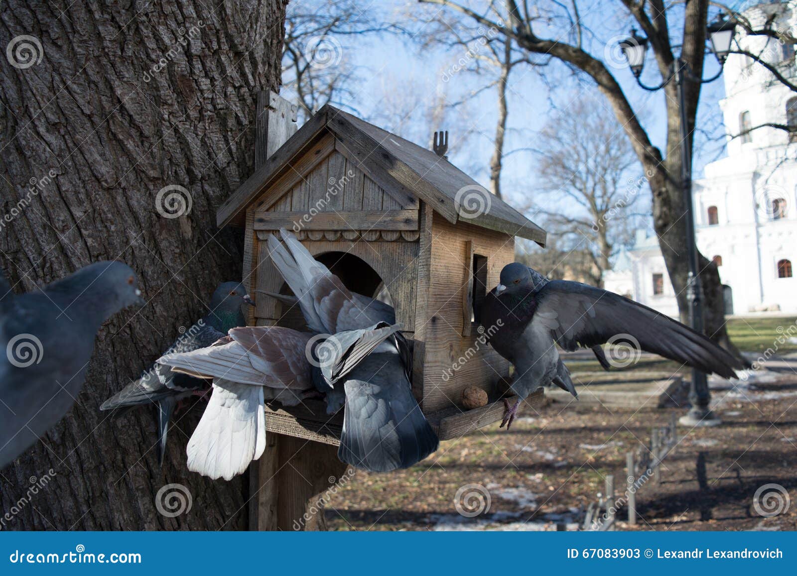 Group Of Pigeons On Lion Head Statue At Piazza Duomo Of Milano Italy ...