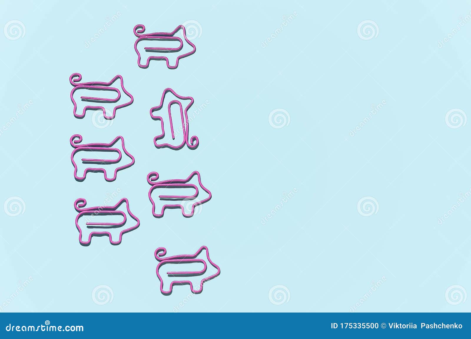 Group with Pigs Paper Clips in One Direction and One in Different ...