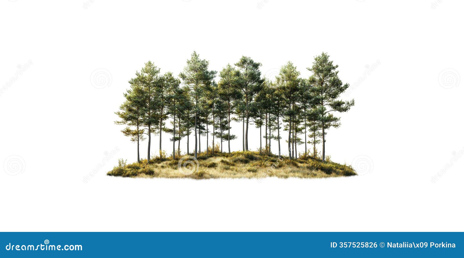 Group of Pine Trees on a Small Hill Isolated on Transparent Background ...