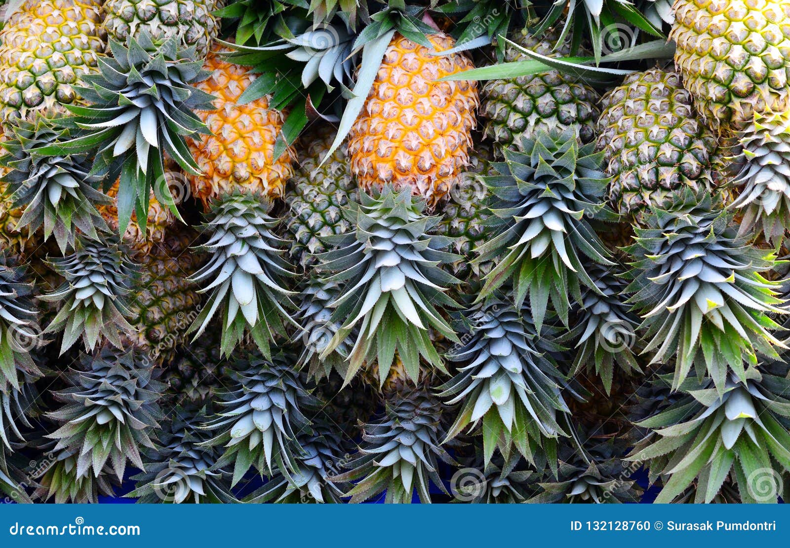Group of Pineapple Stacked Texture Background Stock Photo - Image of ...