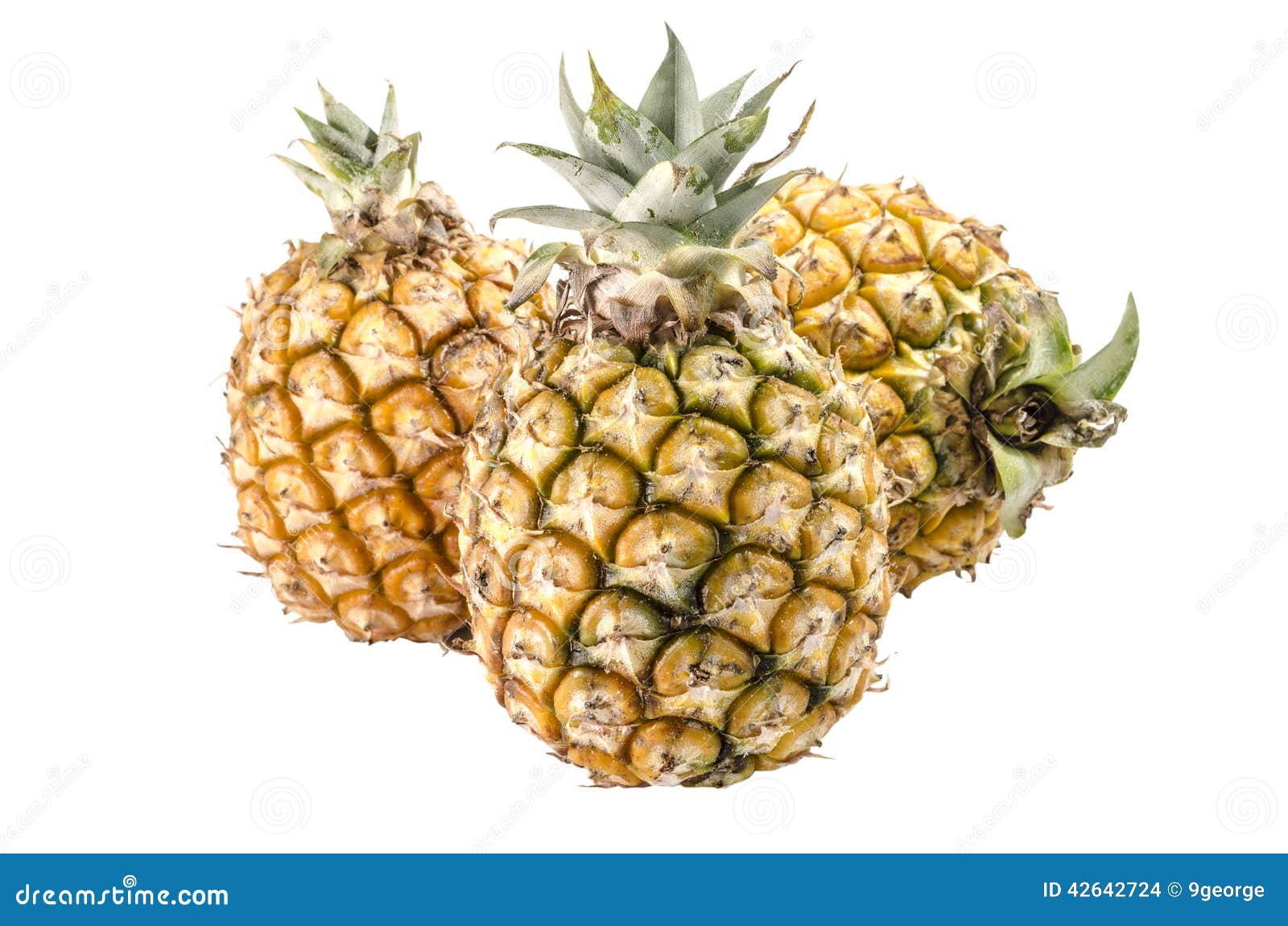 Two Pineapples Royalty-Free Stock Photography | CartoonDealer.com #11273357