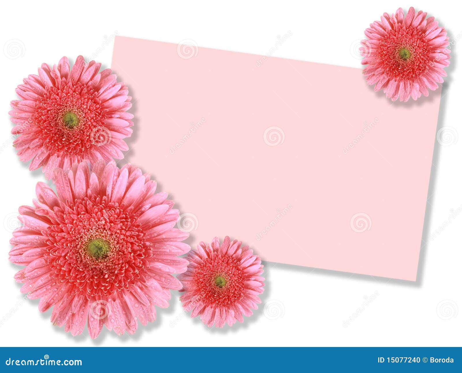 Group of Pink Flowers with Message-card Stock Photo - Image of herbal ...