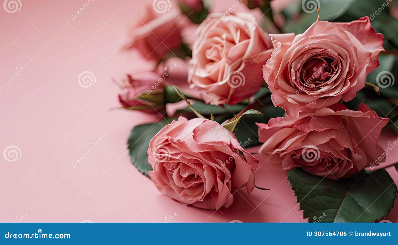 Pink Roses on Table stock illustration. Illustration of fragrant ...