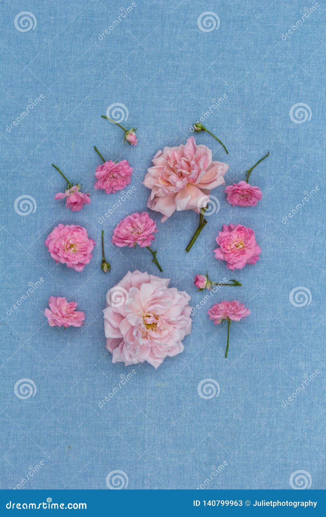 Beautiful, Romantic Rosy Background Stock Image - Image of light ...