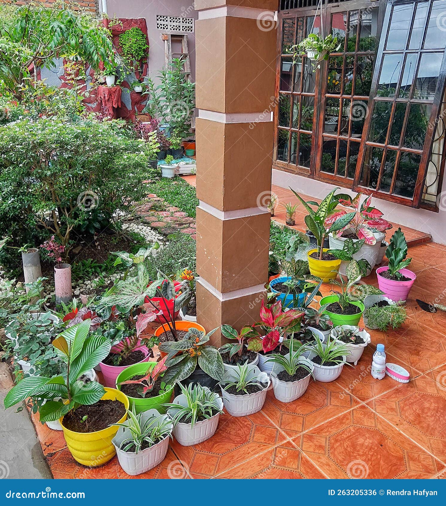 A Group of Plants Grown in Wide Range of Colorful Plot Stock Photo ...