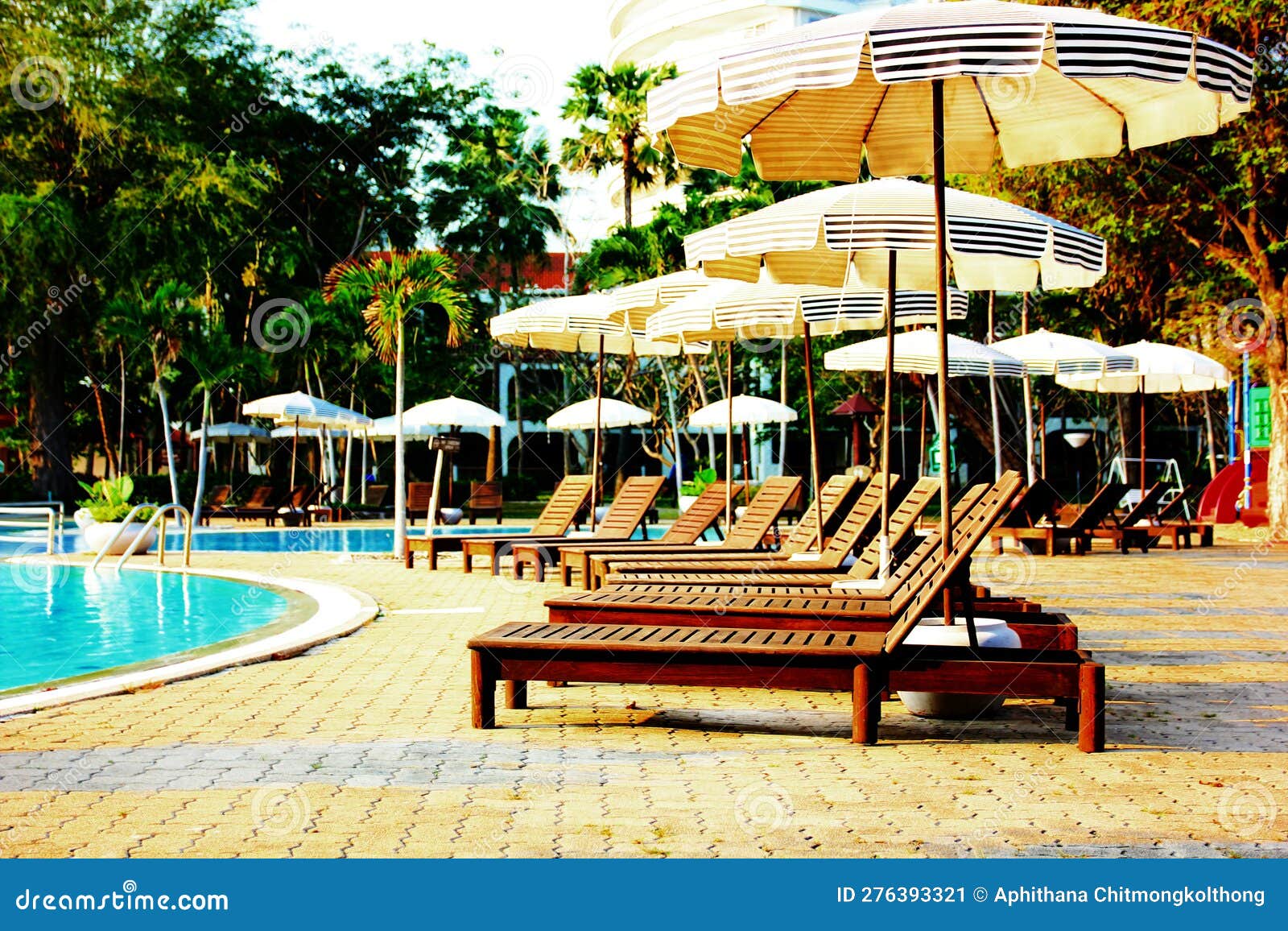 Group of Pool Bench Service Customer Check in Resort Stock Image ...