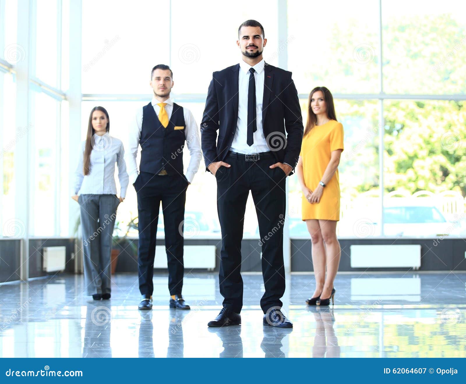 Group Portrait of a Professional Business Team Stock Image - Image of ...