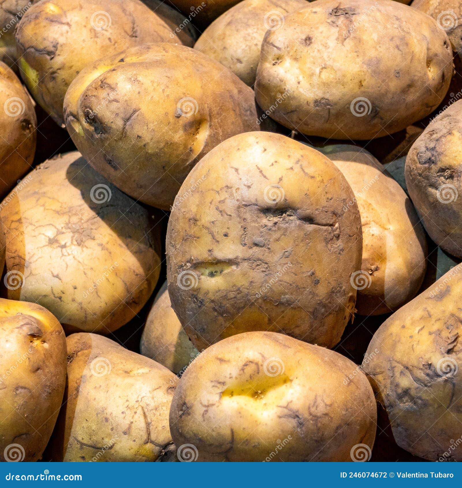 Group of Potatoes. on the Market Stall Stock Photo - Image of healthy ...