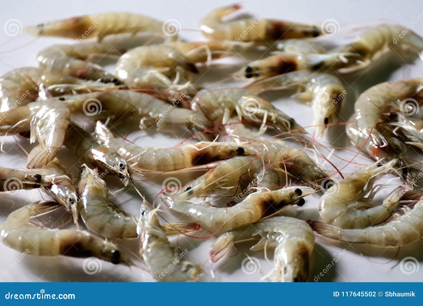 Raw prawn on white stock photo. Image of horizontal - 117645502