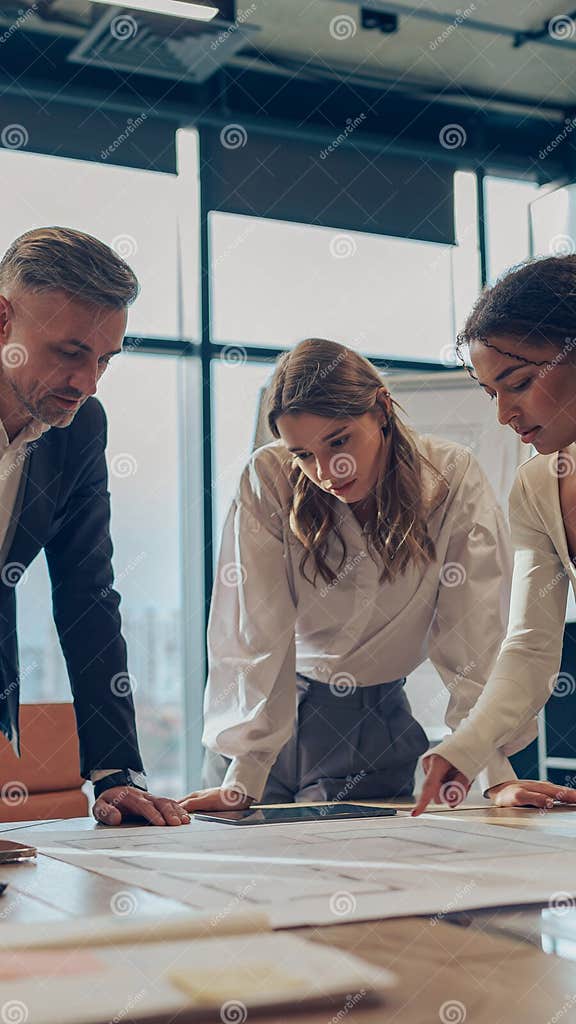 Group of Professional Business Managers Working with Project Documents in Office Stock Photo ...