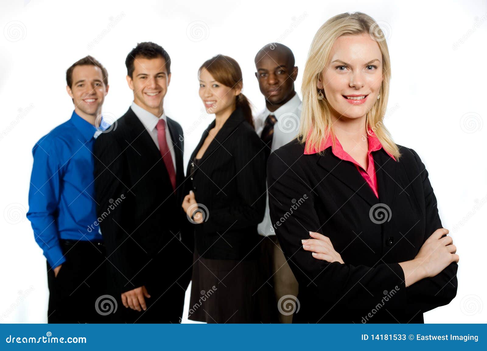 Group of Professionals stock image. Image of individual - 14181533