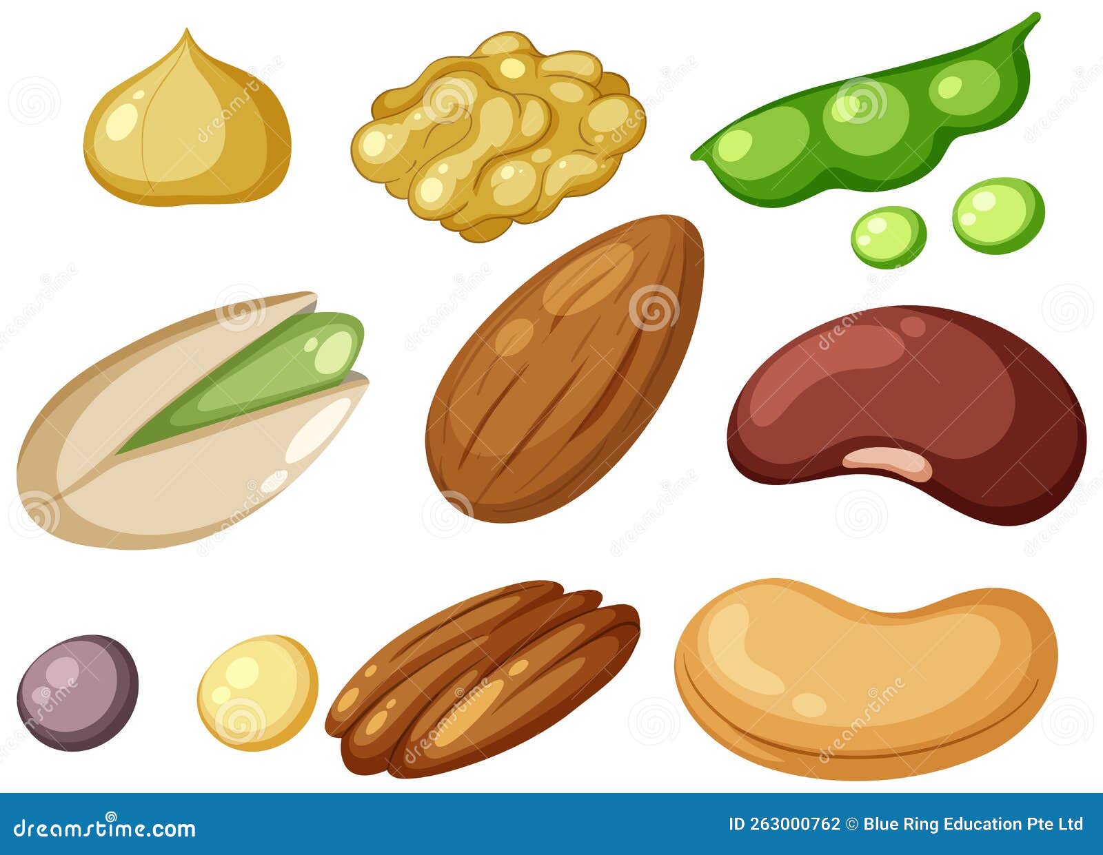 Group of protein foods stock vector. Illustration of walnut - 263000762