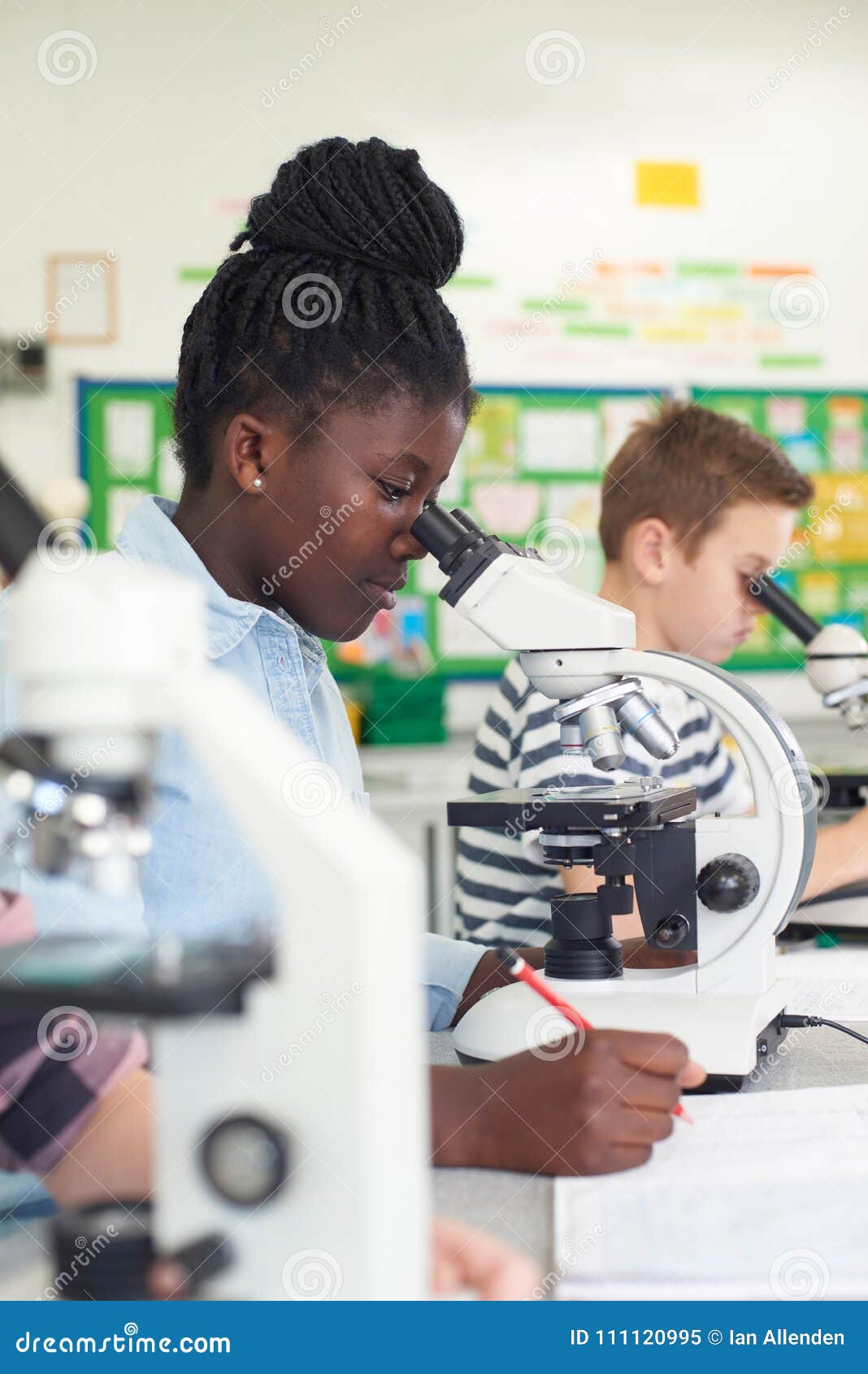 Group of Pupils Using Microscopes in Science Class Stock Image - Image ...
