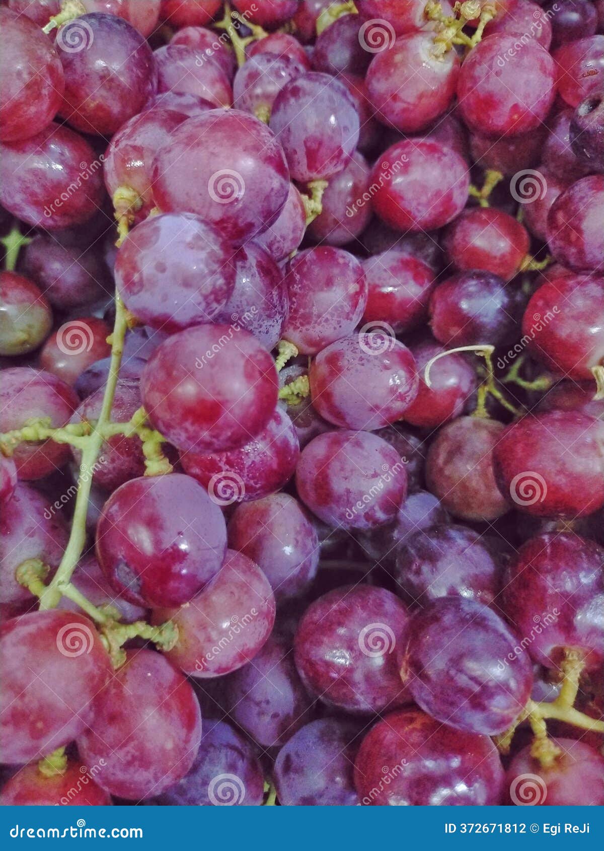 Grapes Fruits Grape Fruit Blue Isolated On White Royalty-Free Stock ...