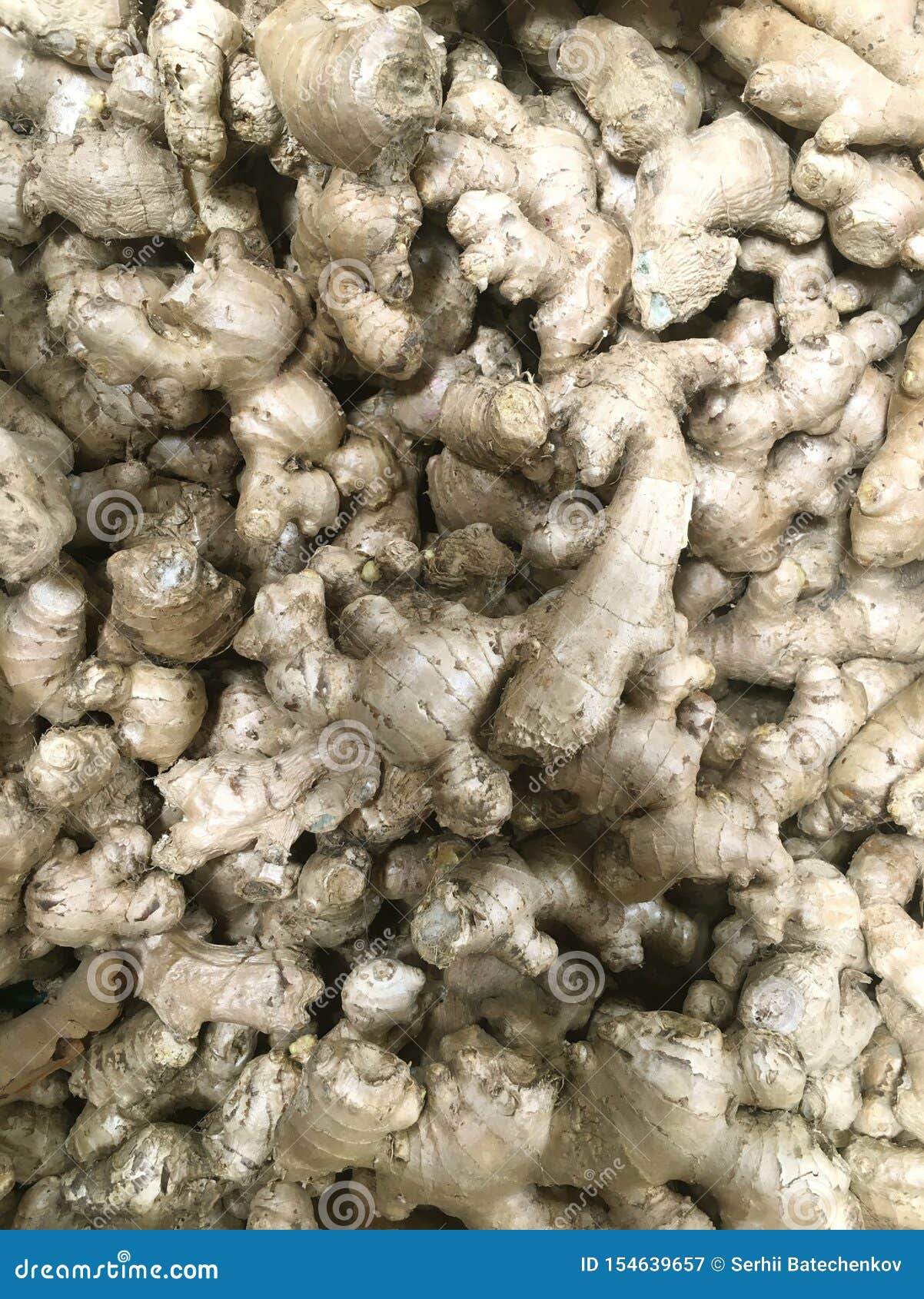 Group of raw ginger roots stock image. Image of market - 154639657