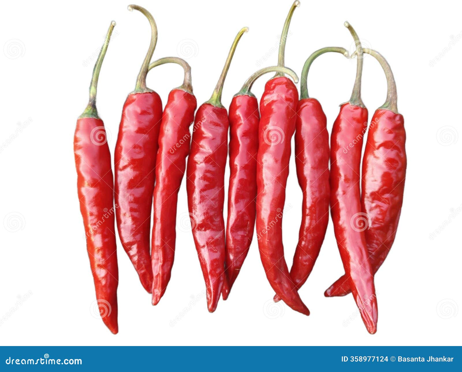 Red chili vertical line stock photo. Image of chili - 358977124