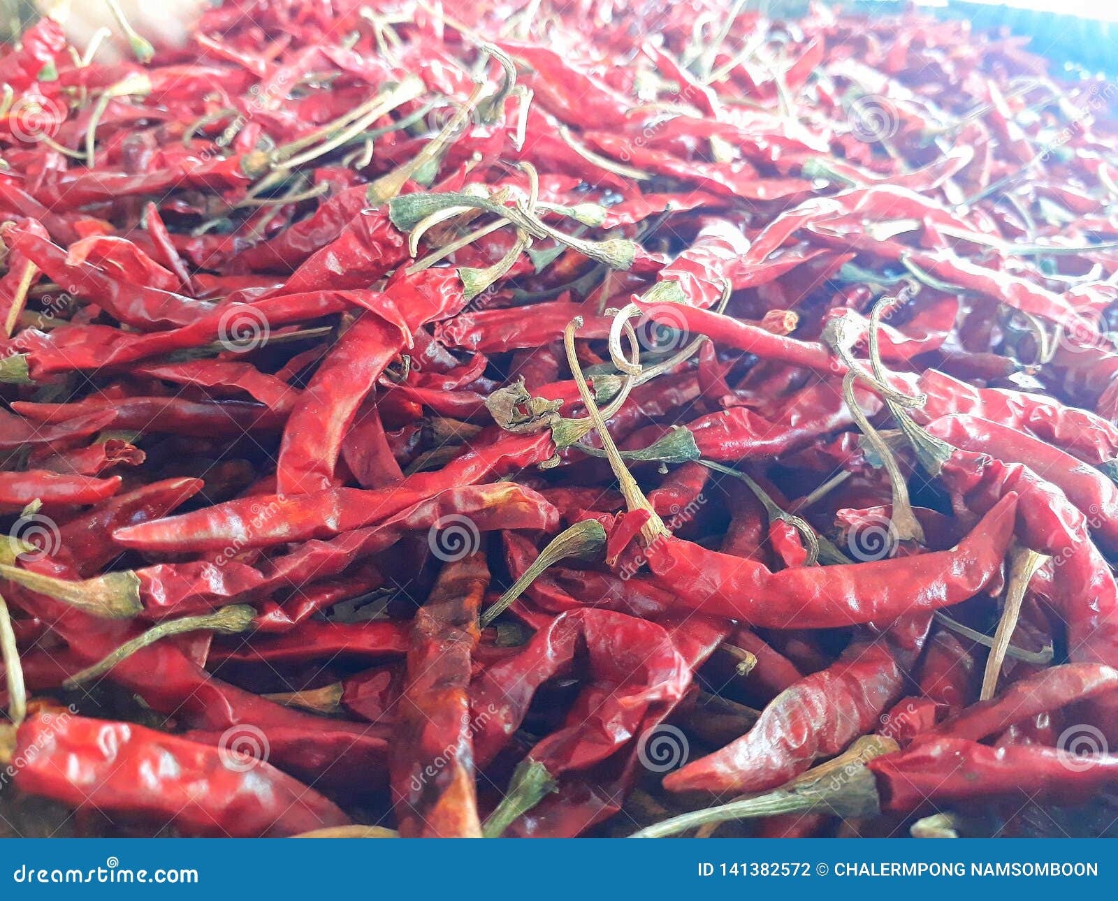 Group red chilli in basket stock photo. Image of basket - 141382572