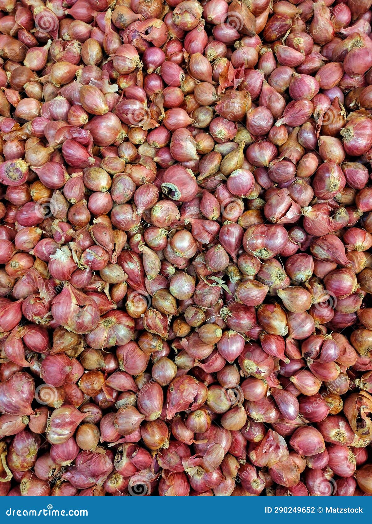 Group of Red Onion on Local Market Stock Photo - Image of soil, cuisine ...