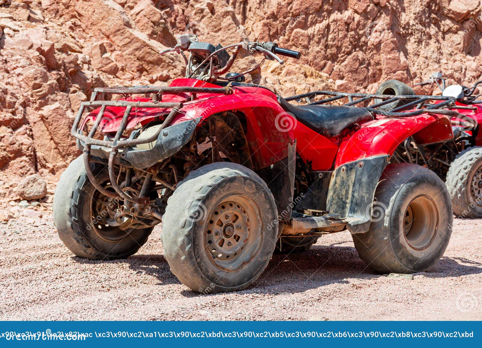 Group of Red Quads on the Background of Stones in the Desert in Egypt ...