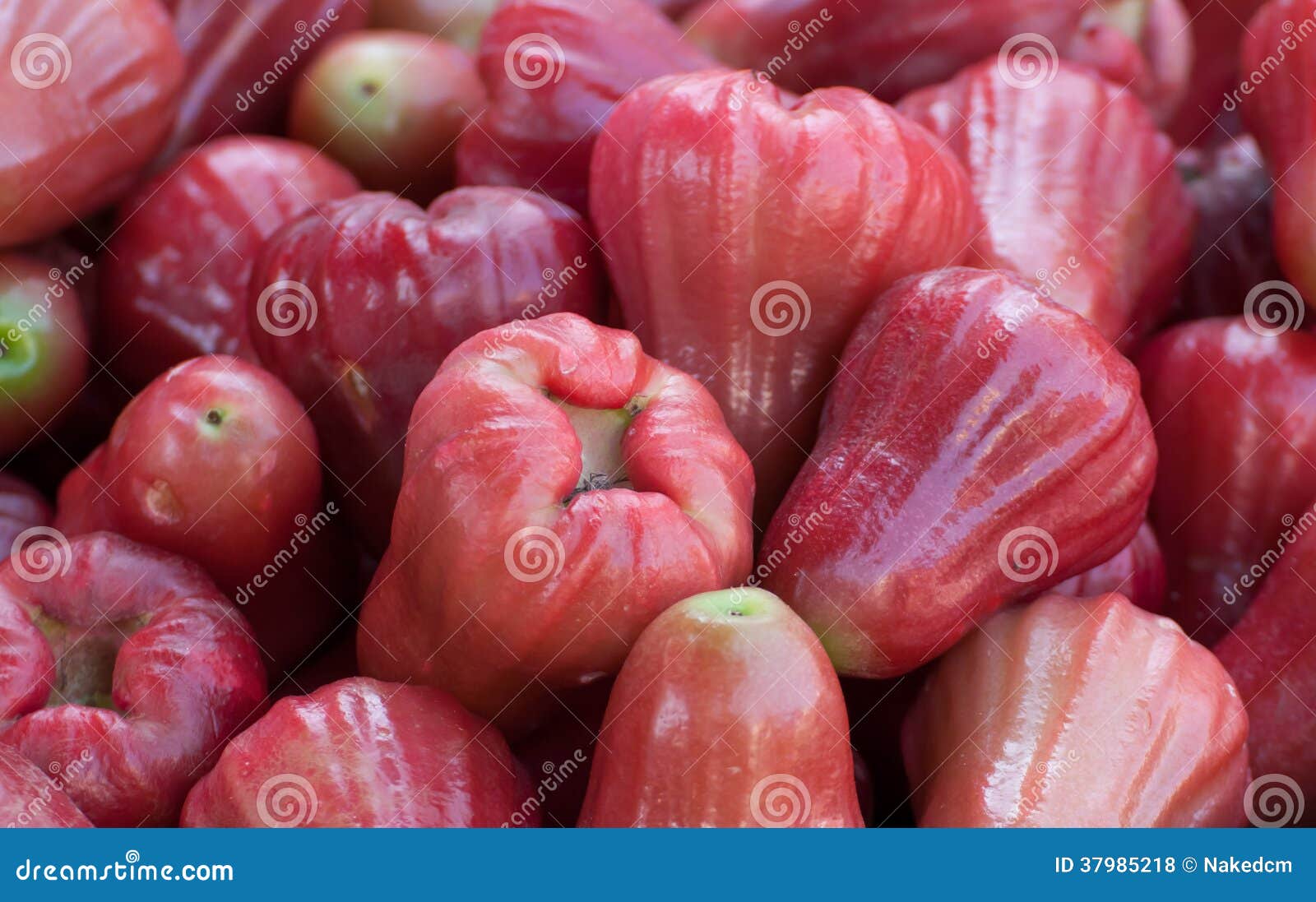 Group of Red rose apple stock photo. Image of guava, group - 37985218