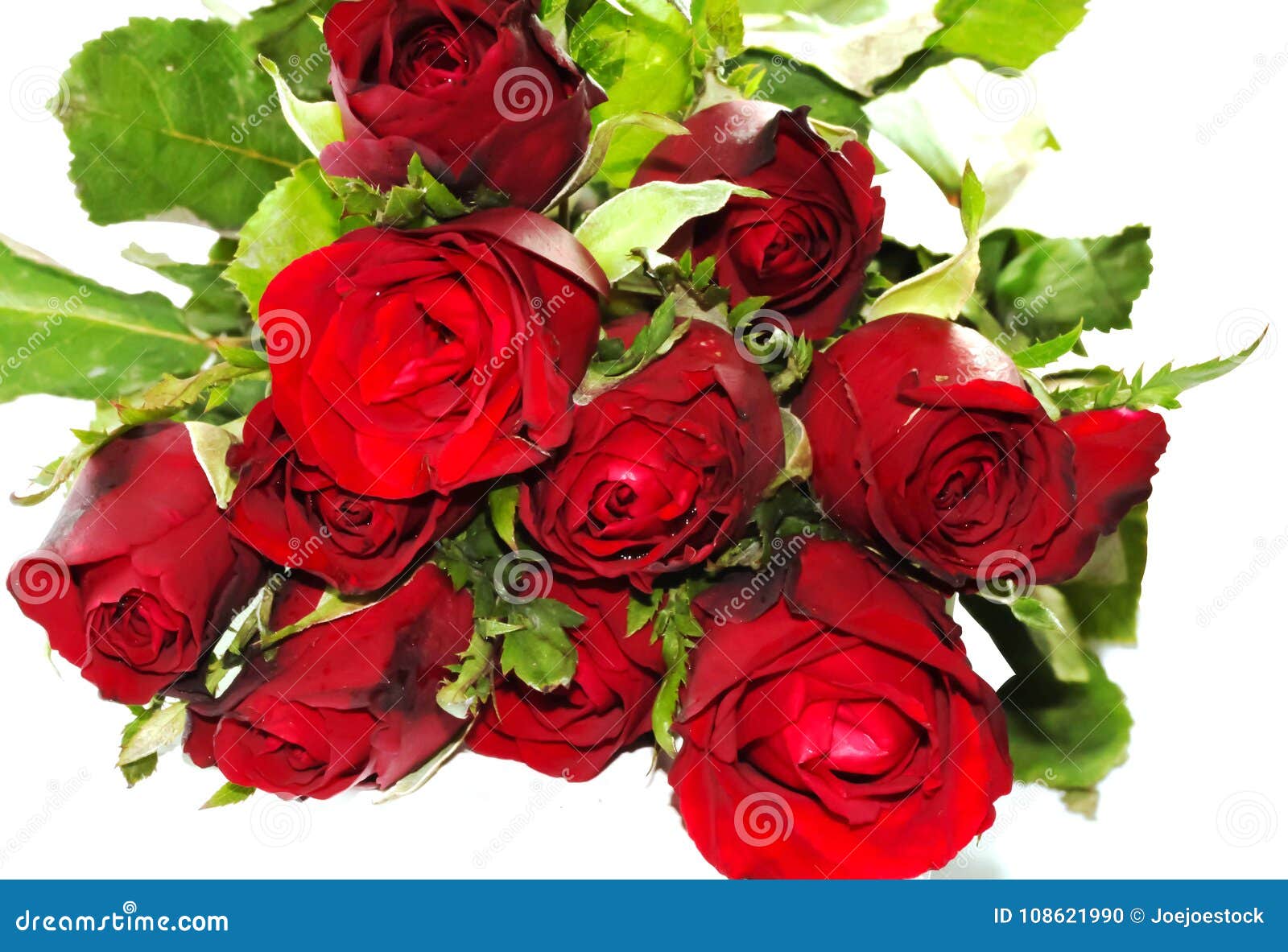 Group Red Rose with Green Leaf on White Background Stock Photo - Image ...