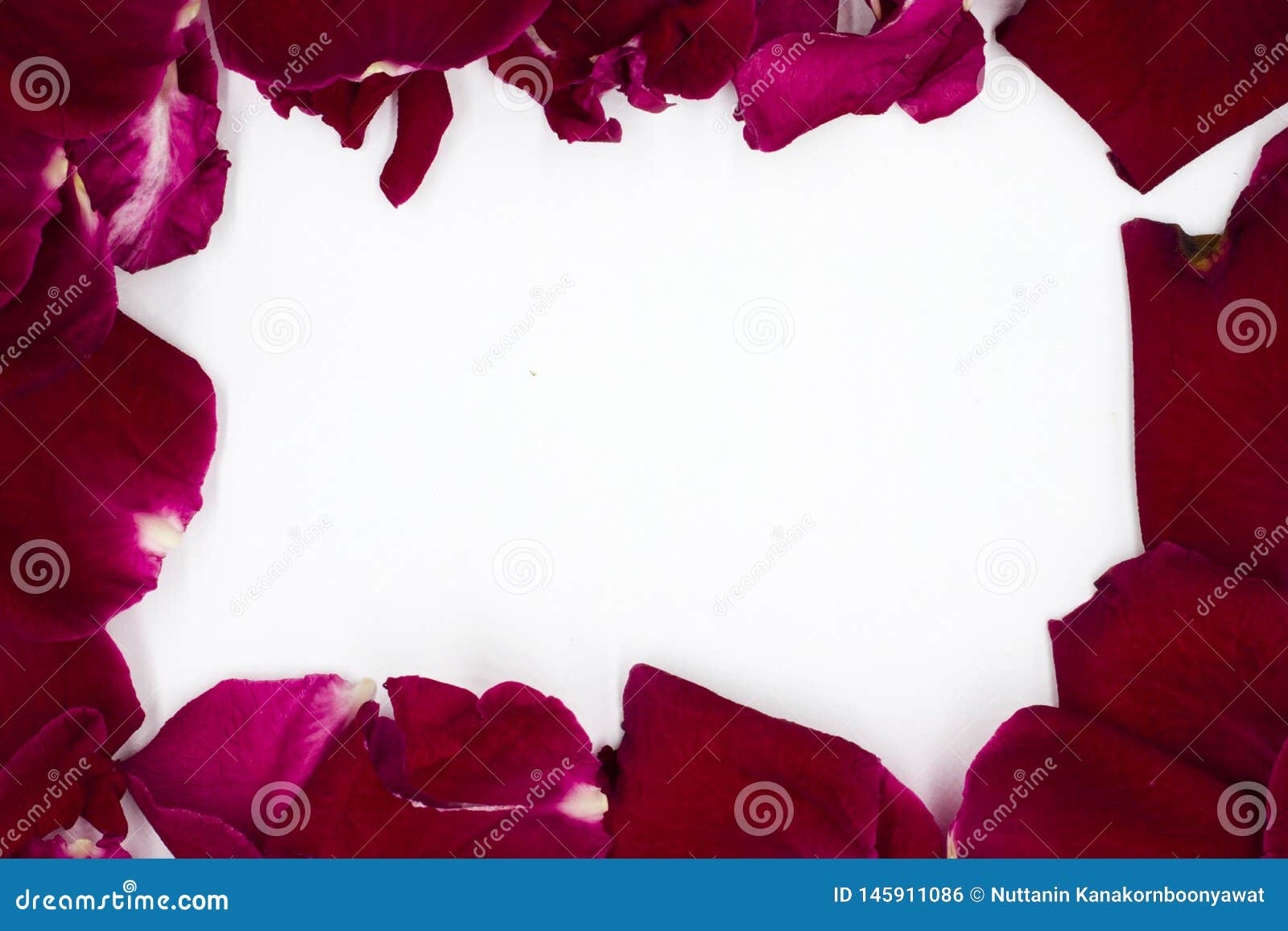 Group of Red Rose Petals, Frame,copy Space Back Ground Stock Photo ...