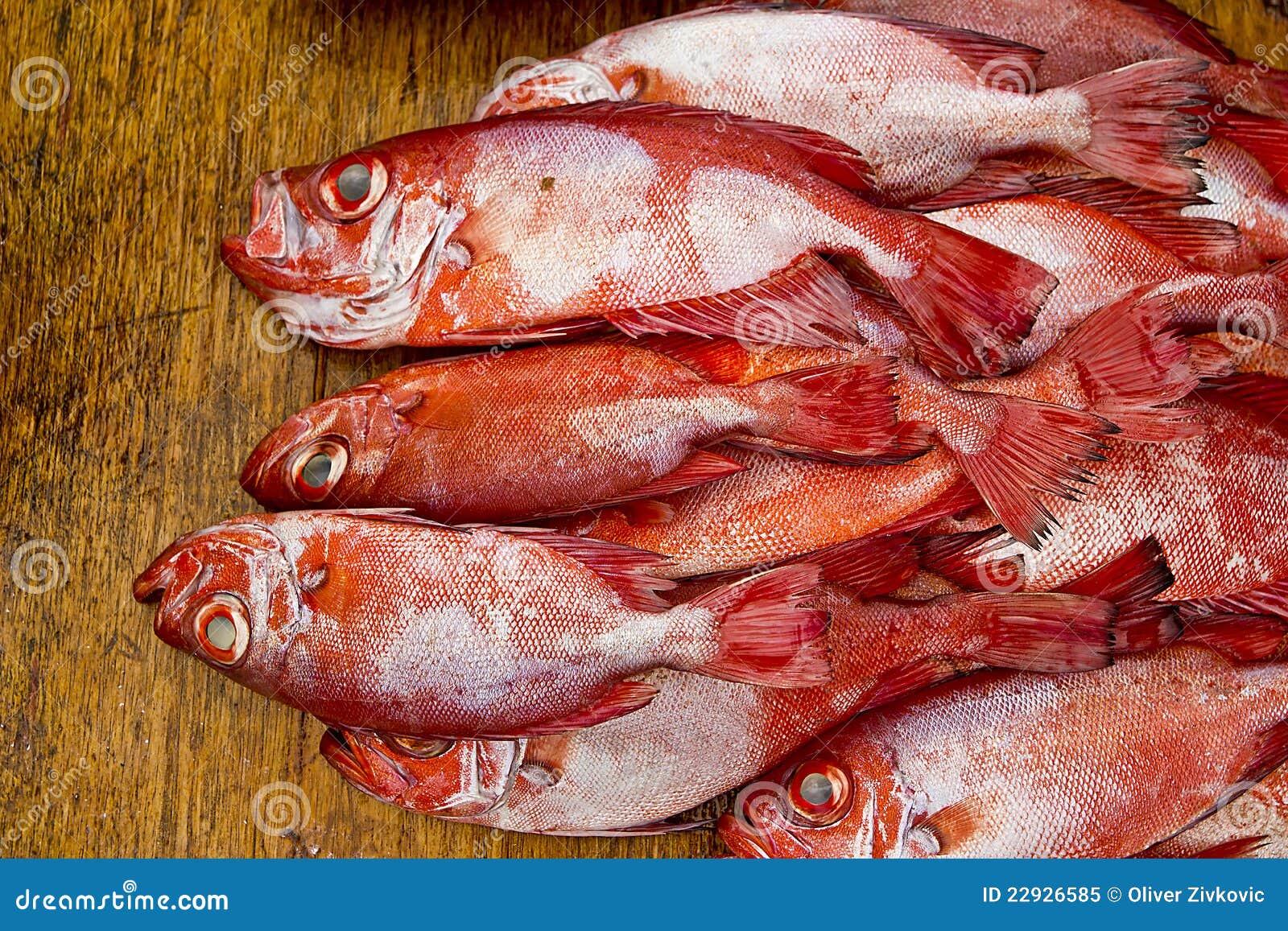 Group of Red Snapper Fishes on Market Stock Image - Image of ...